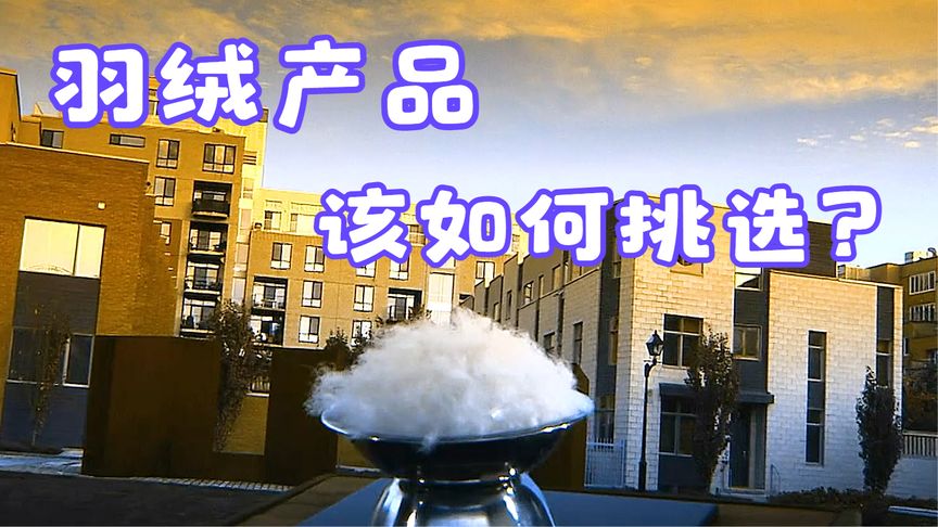 羽绒服为什么那么贵,我们该如何分辨羽绒好坏?