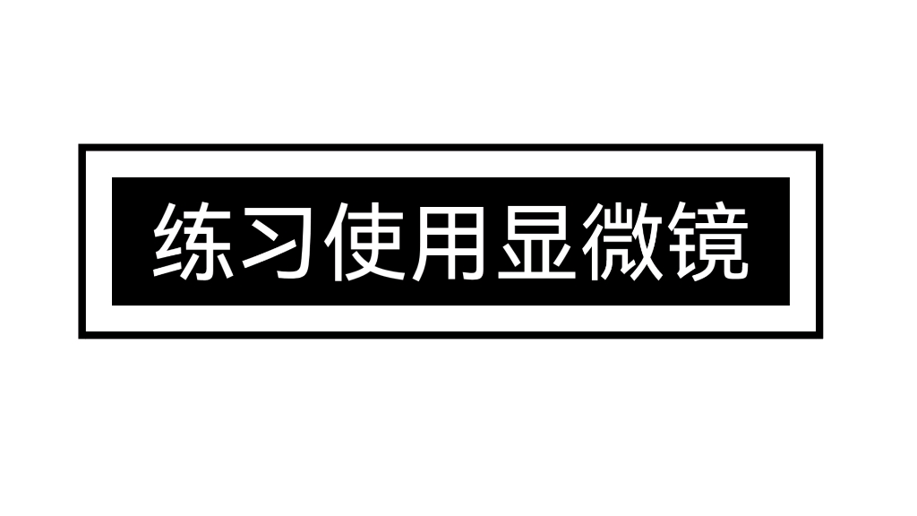 2023年湖北省襄阳市生物实验操作考试-练习使用显微镜-自制参考视频