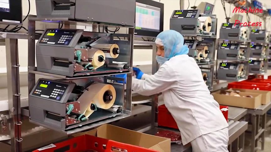 高效的现代高科技食品加工技术