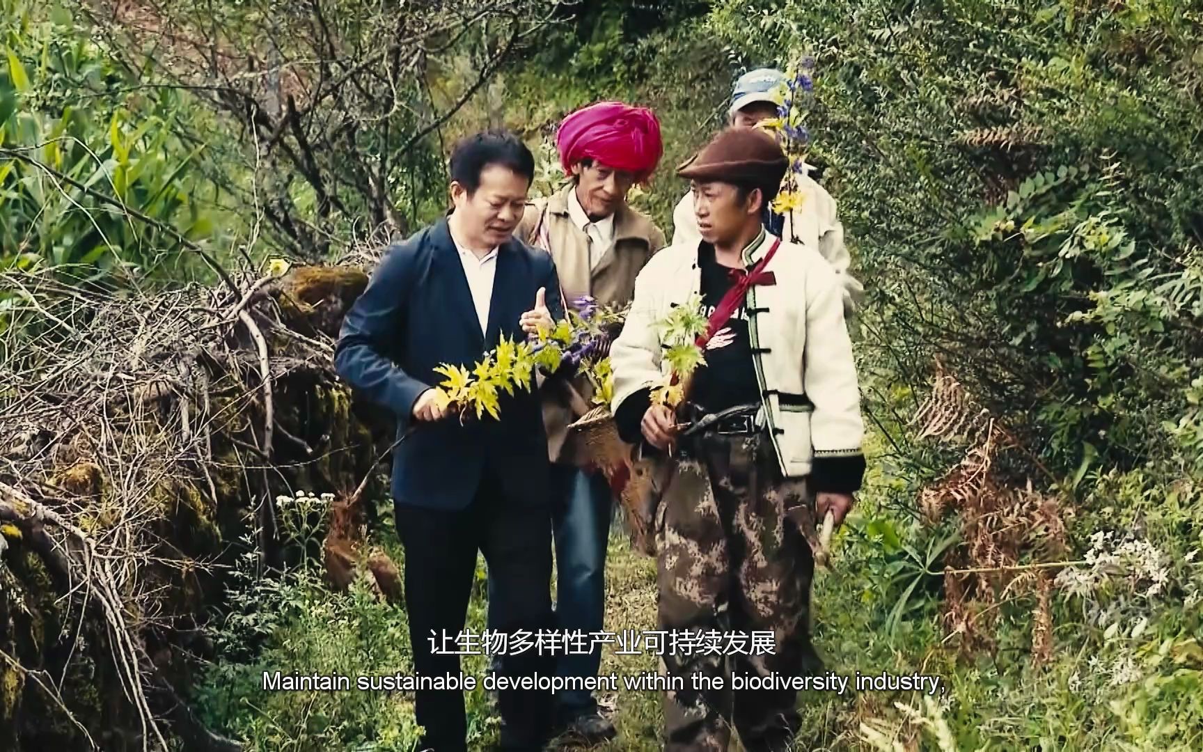 加拿大蒙特利尔cop15 昊邦案例视频