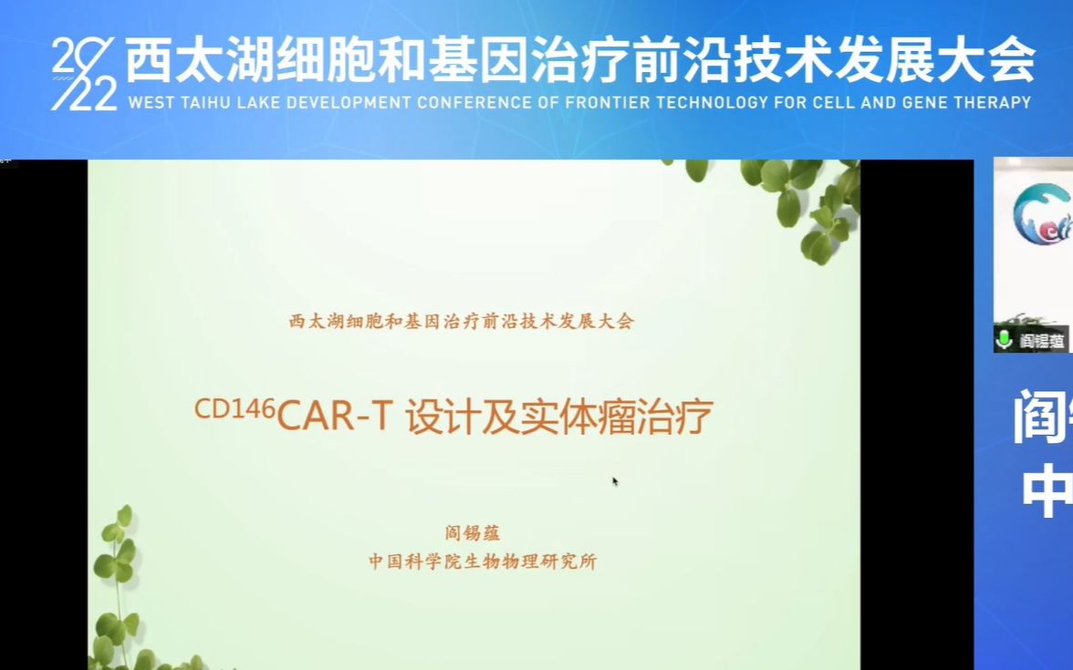 CD146 CAR-T设计及实体瘤治疗