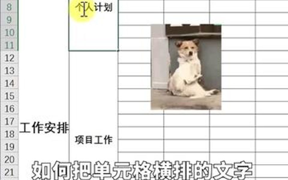 单元格的文字通常都是横排,如何快速改为竖排呢?跟我一起学起来~ߘ