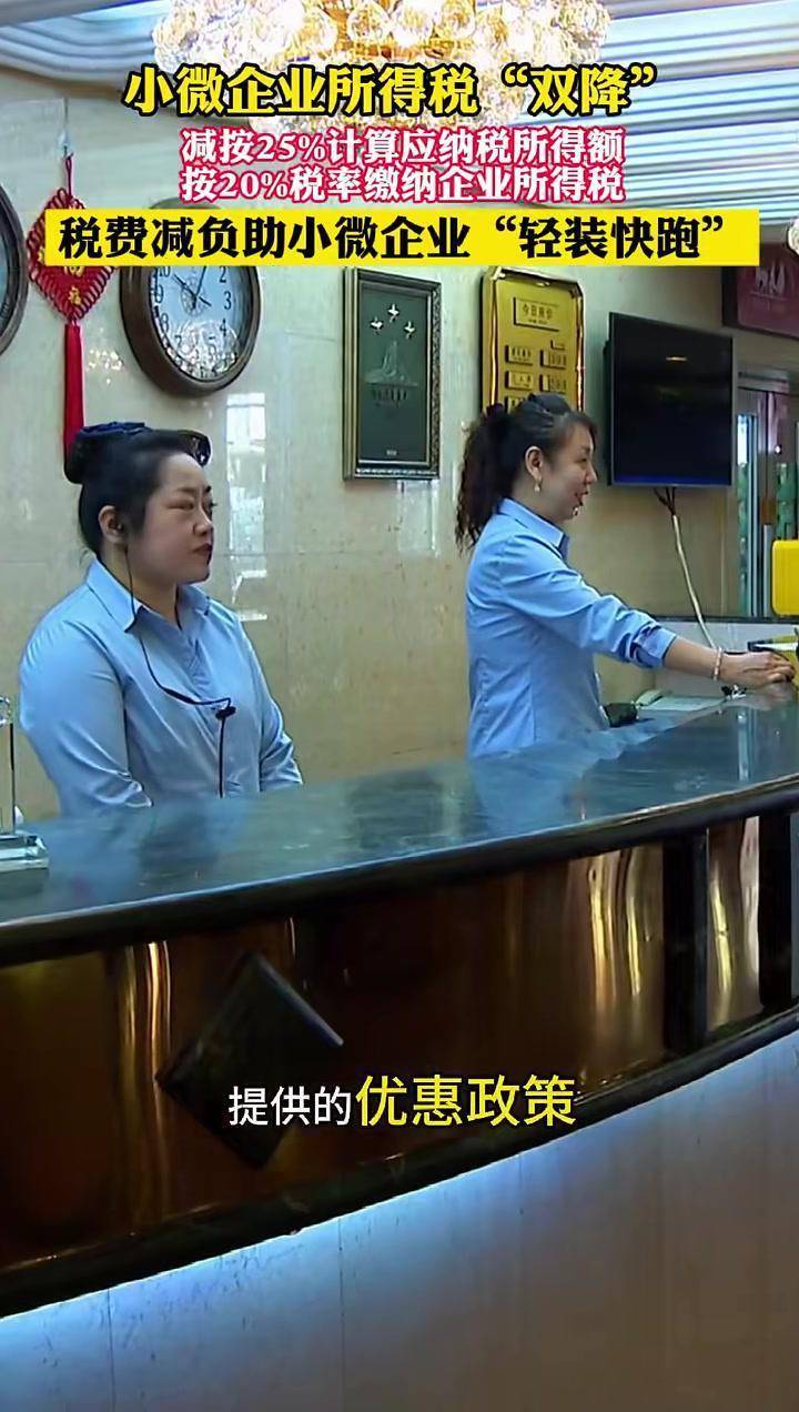 ...双降",减按25%计算应纳税所得额,按20%税率缴纳企业所得税,税费减...