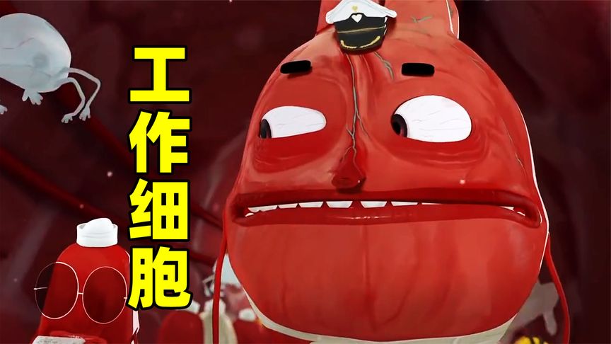 当你睡着后,你知道身体器官都在干嘛吗?科普动画