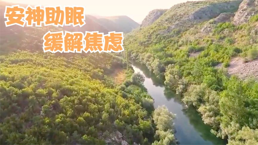 远大的目标非常重要,一定要有成功的企图心,而且越大越好。