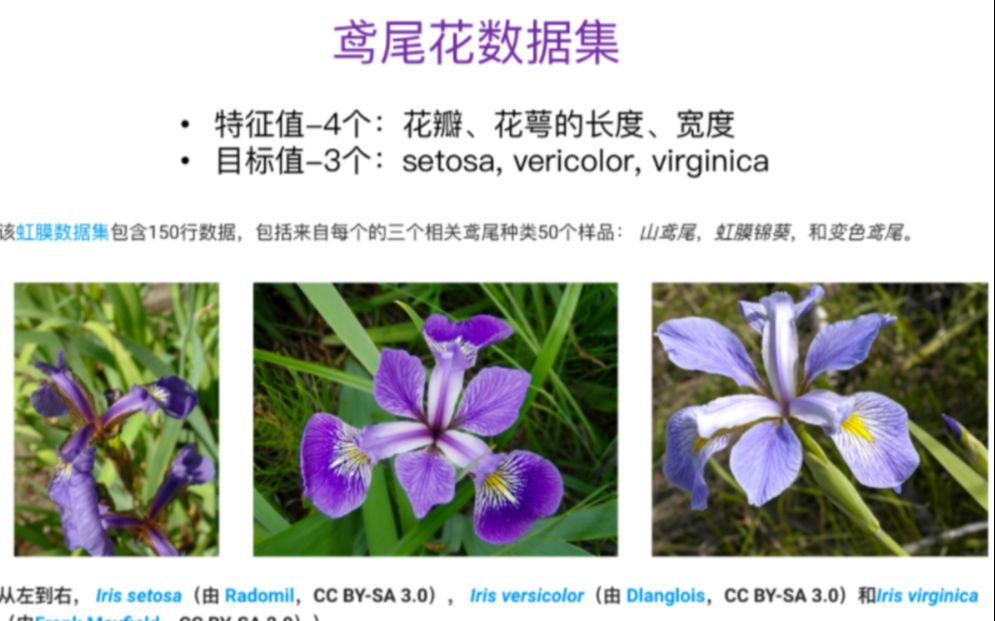 鸢尾花案例1,数据集介绍和机器学习一般流程