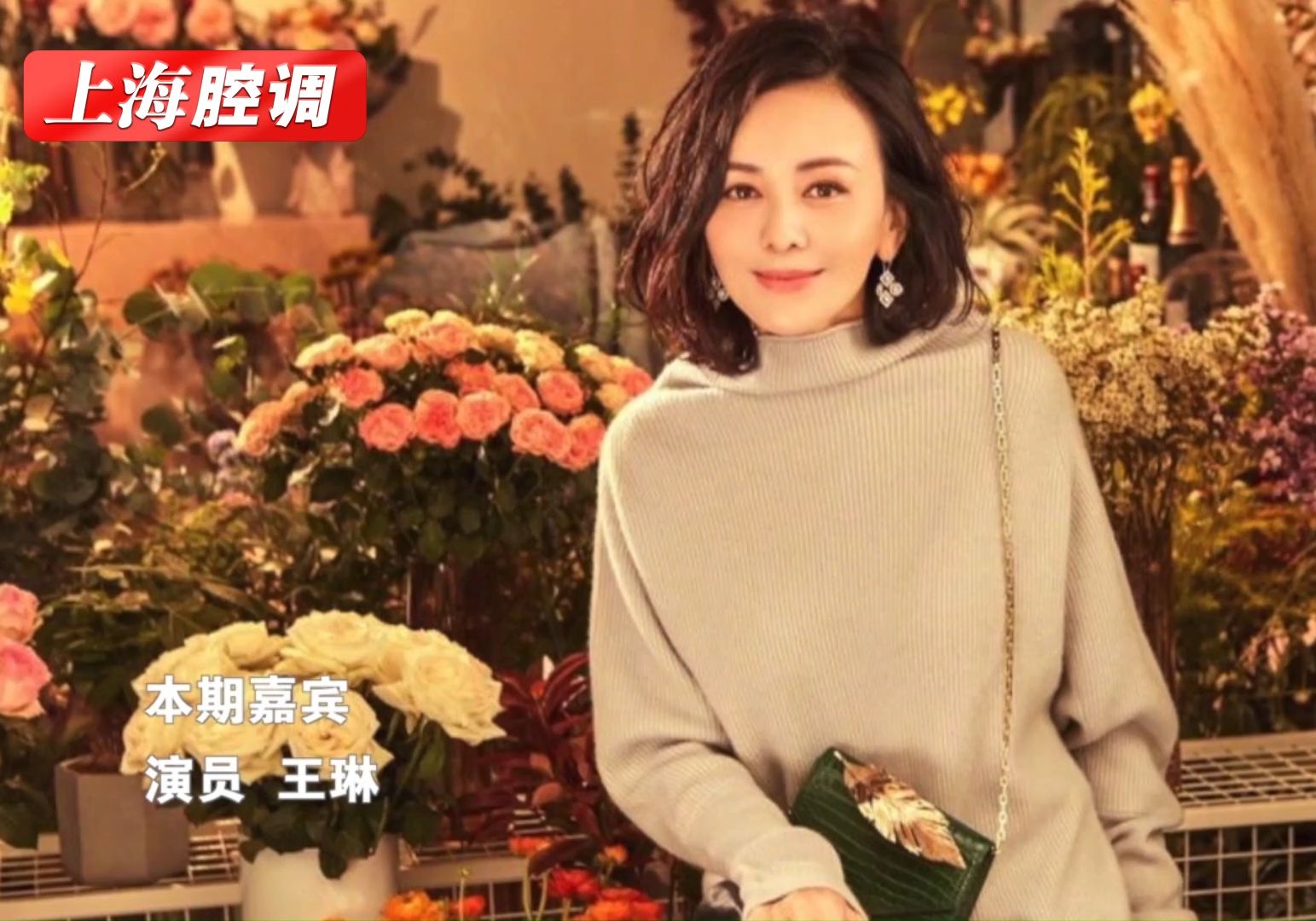 王琳:我不是“雪姨”