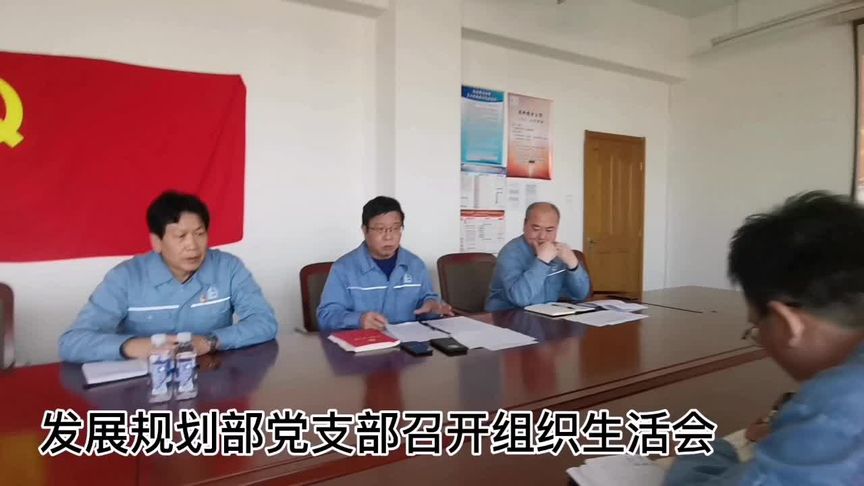 发展规划部党支部召开组织生活会#组织生活会