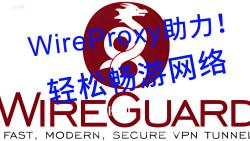 WireProxy助力!免费实现WireGuard协议转换,轻松畅游网络