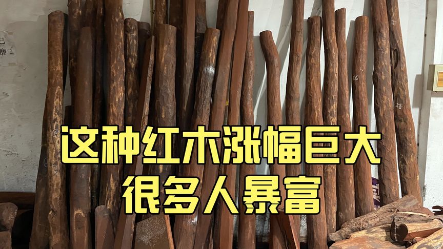 这种红木价格涨幅巨大,很多红木家具厂老板暴富,就是因为它