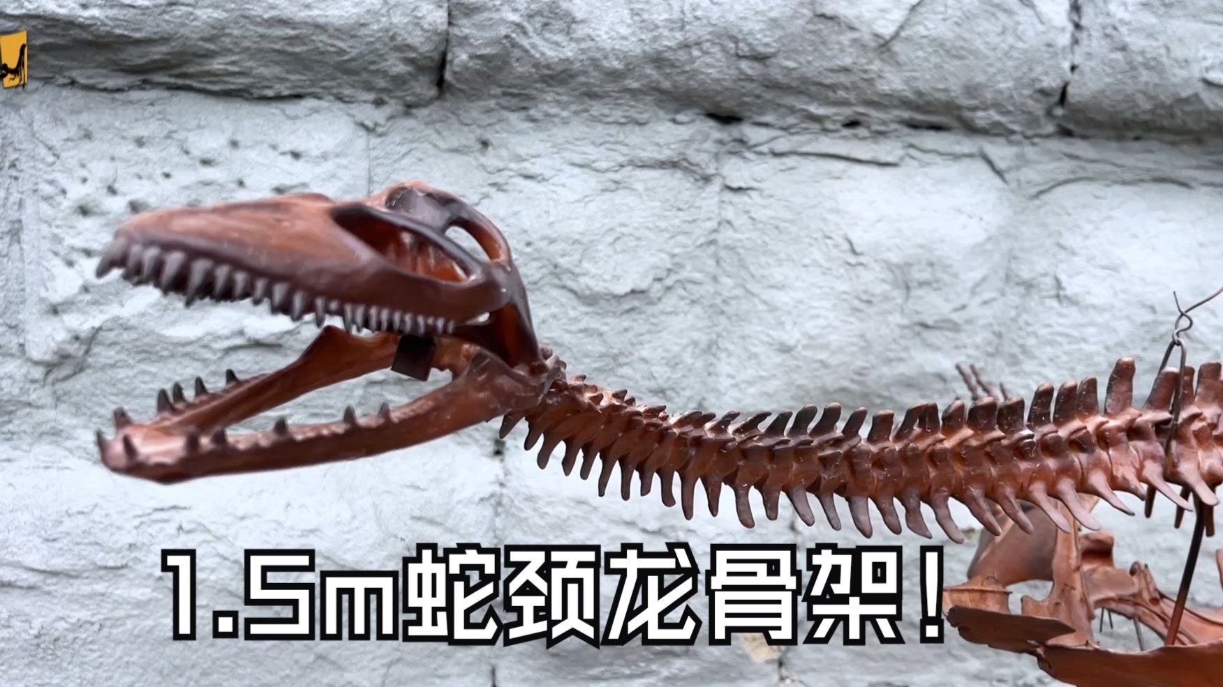 「史诗匠造」1.5米手工玻璃钢蛇颈龙骨架雕塑