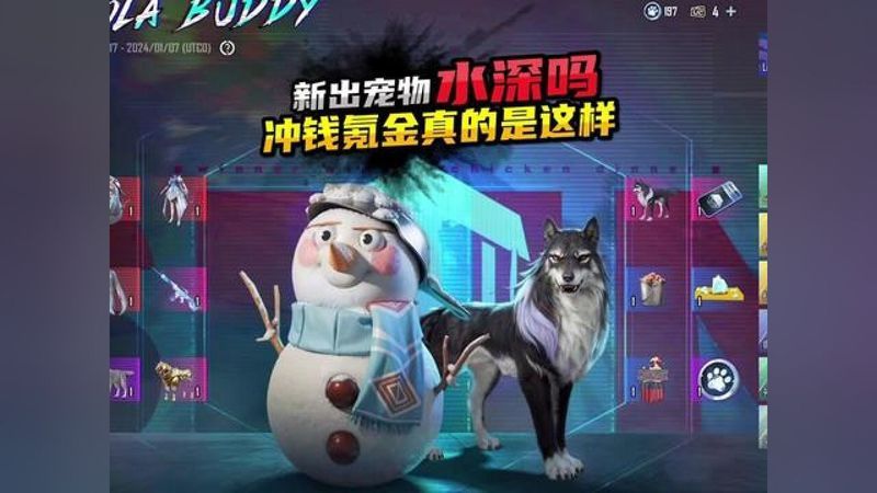FPS 节目解说 射击游戏 生存游戏