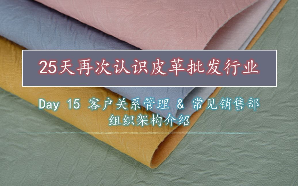 25天再次认识皮革批发行业 | Day 15 客户关系管理 & 常见销售部组织...