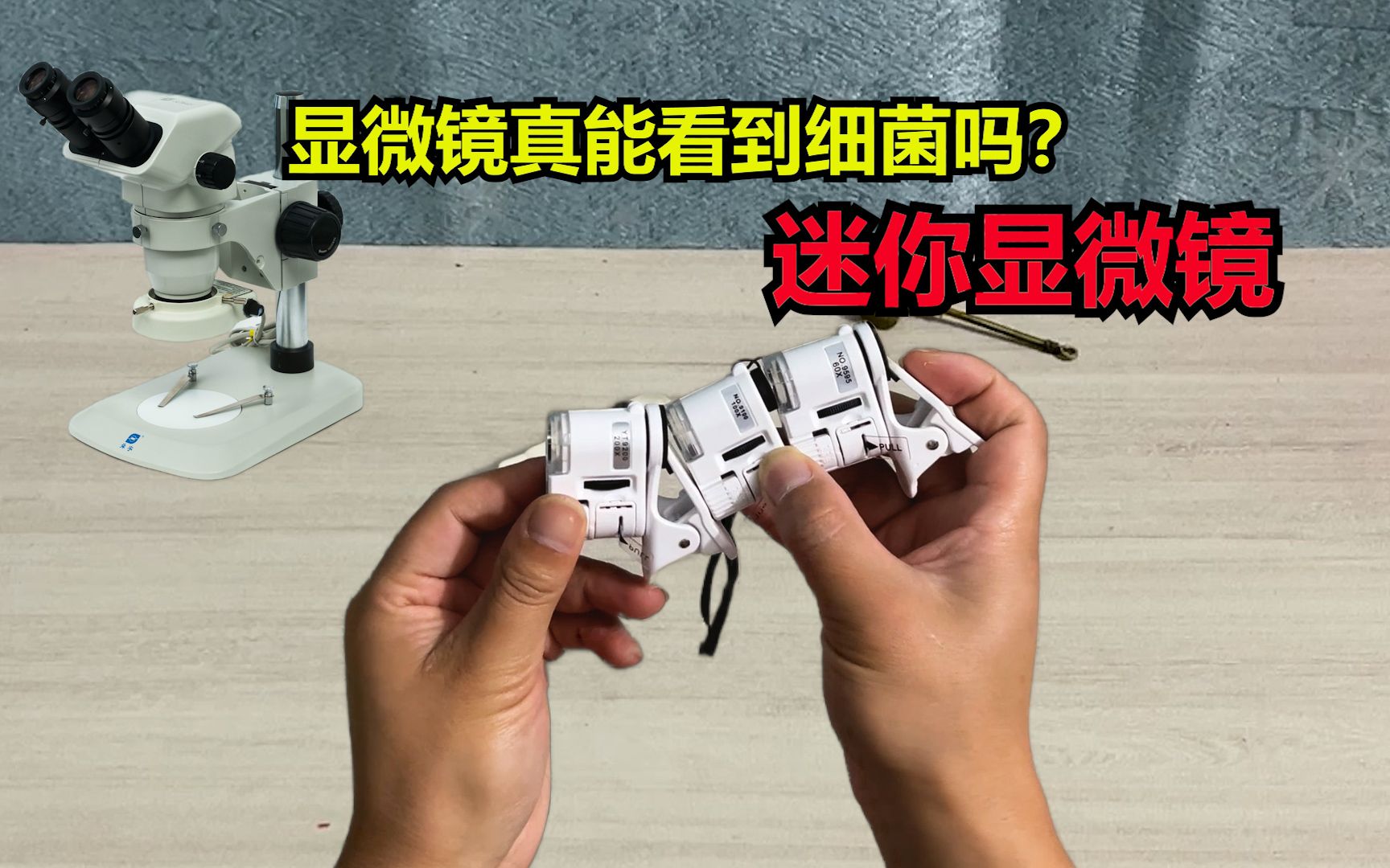 显微镜真能看到细菌吗?一小伙来亲测迷你显微镜太离谱了
