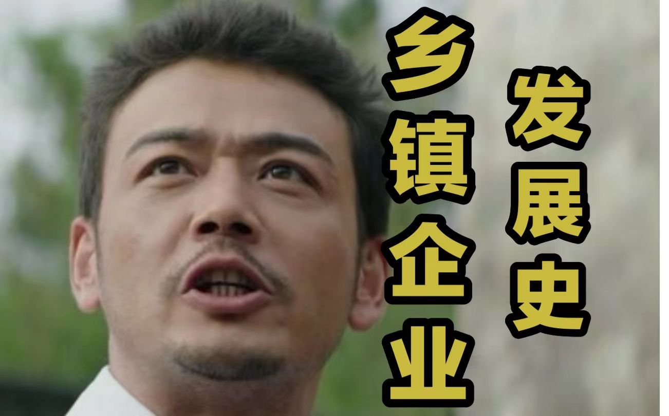 《大江大河》—从小雷家发家史看乡镇企业发展历程(第一期)