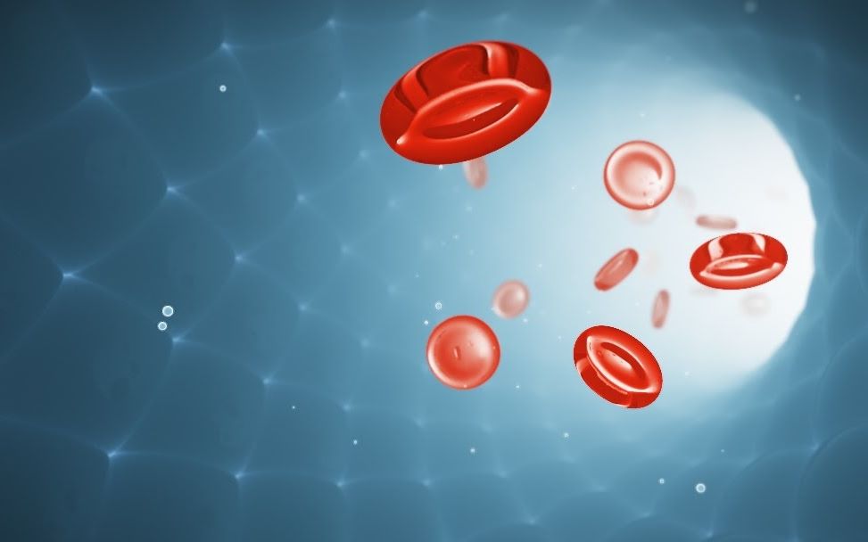 【油管】C4D实例:“血细胞动画”模型