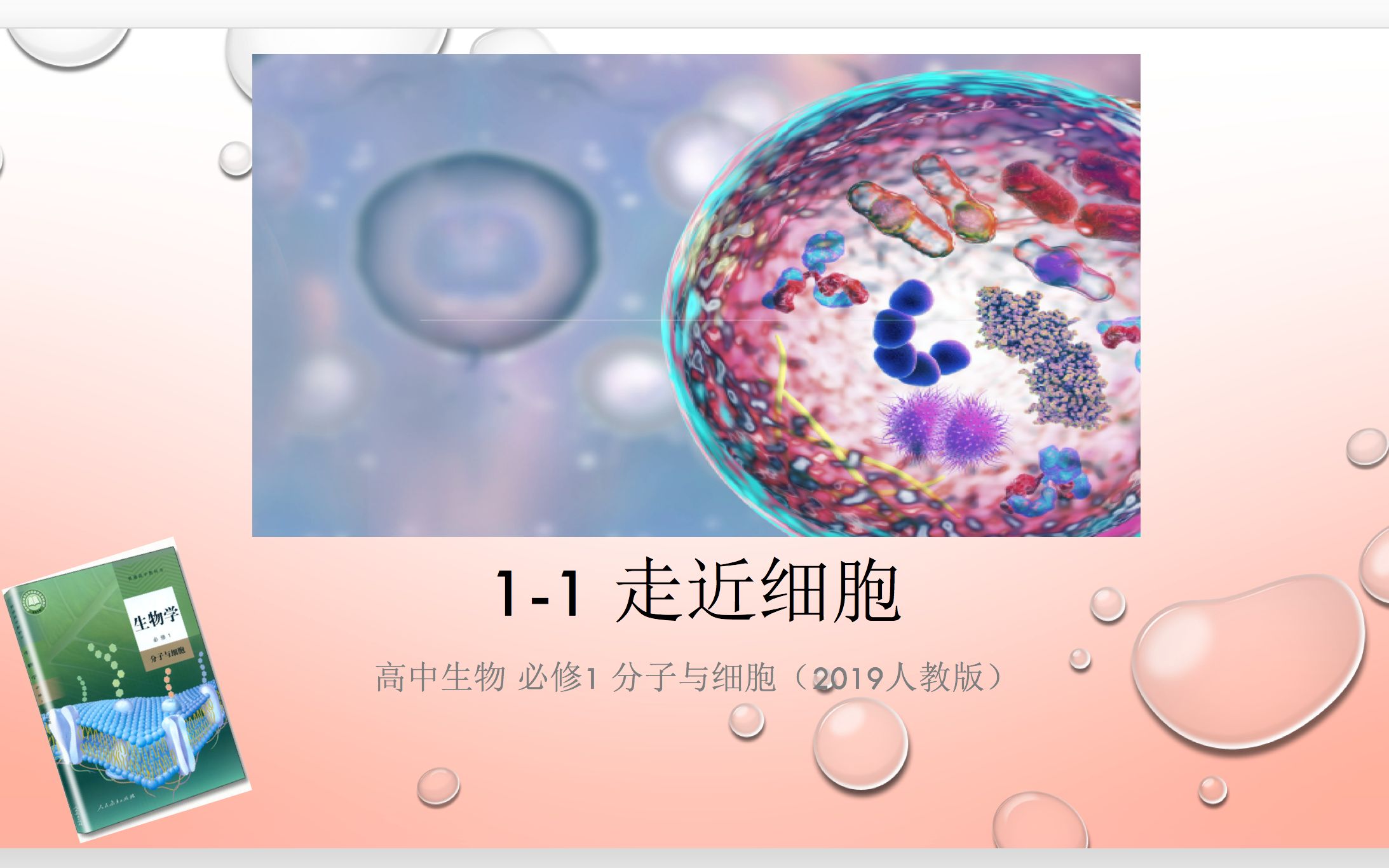 【生哥讲生物】必修1 1-1 走近细胞(《生哥讲生物》(高中版)介绍视频)...