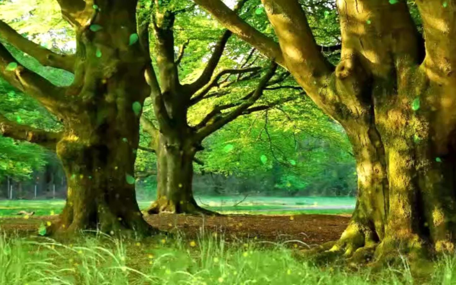 好大一棵树配乐成品绿色森林大树粒子歌曲背景 led动态视频素材