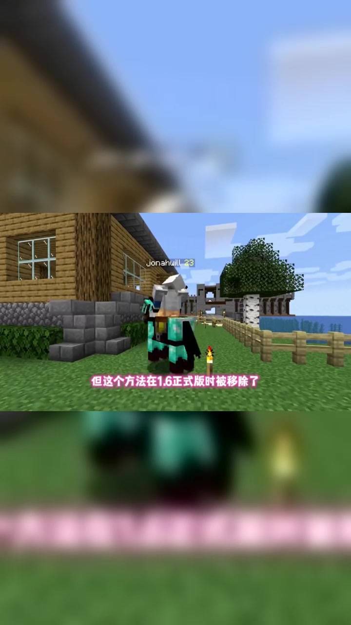 我的世界:这种修改它合理吗