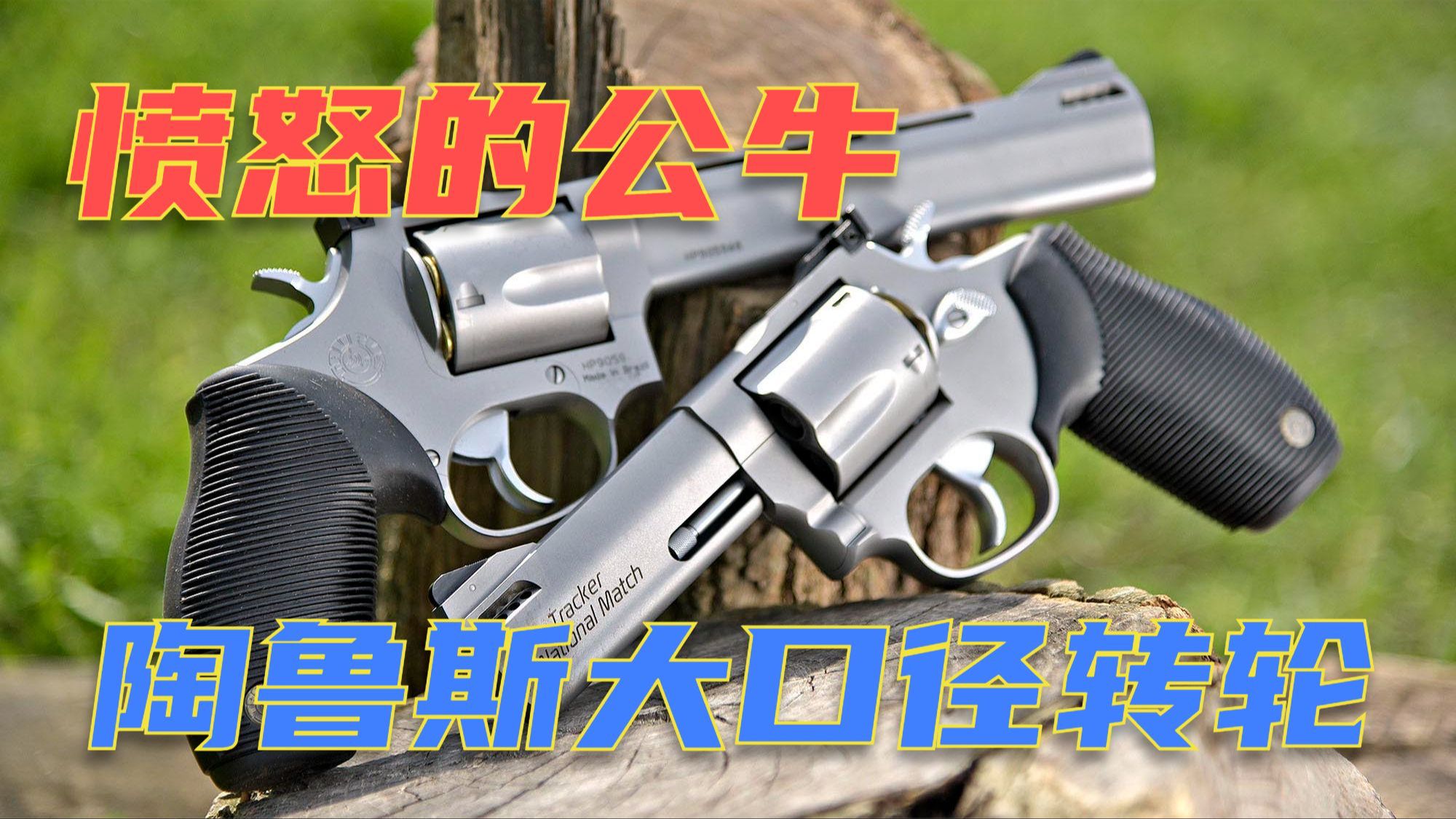 巴西陶鲁斯转轮武器 绰号“愤怒的公牛” 看口径就知道威力无比