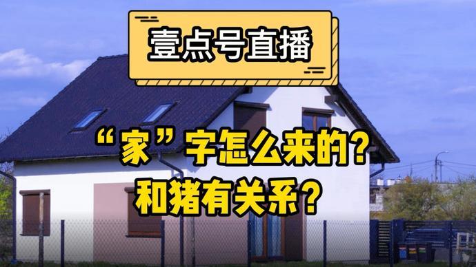 果然视频·趣味汉字课丨“家”字怎么来的?下面为何是头猪?