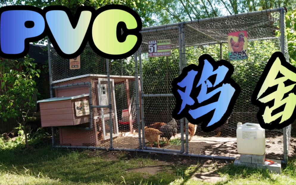 【后院养鸡】扩建鸡舍,用PVC水管搭建鸡笼,自己动手做