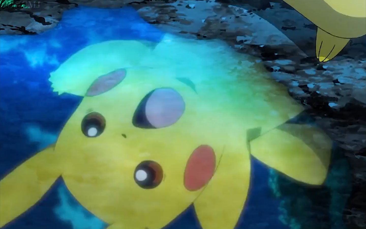 皮丘要亲密度满才能进化成皮卡丘,一定很舍不得他的袋龙妈妈吧.