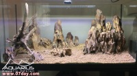 07day造景 水草缸 松皮石造景