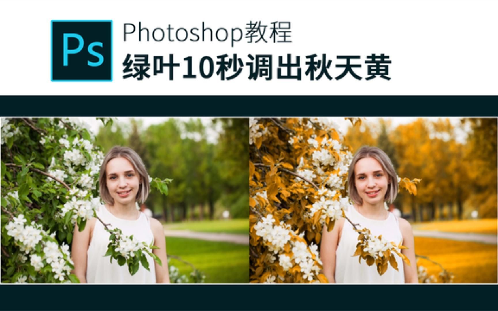 【PS教程】PS必学小技巧:PS调色难?教你通道混合器10秒绿叶调成...