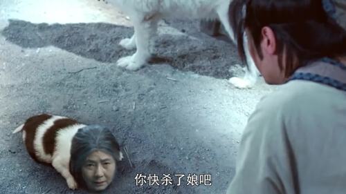 男人没钱给母亲看病,就去杀狗挣钱,结果遭报应!
