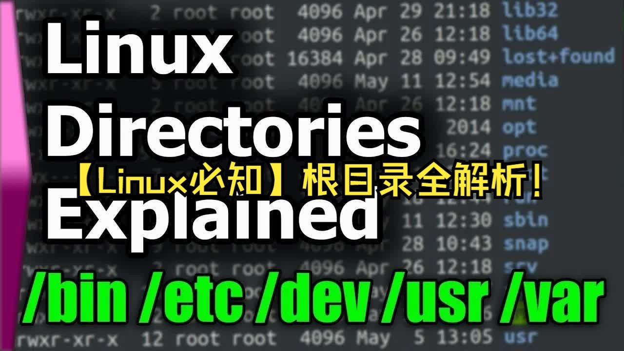 【双语视界】【Linux必知】根目录全解析!