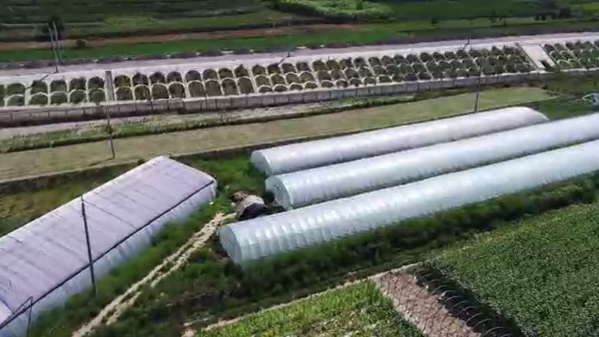 钢架大棚搭建技术