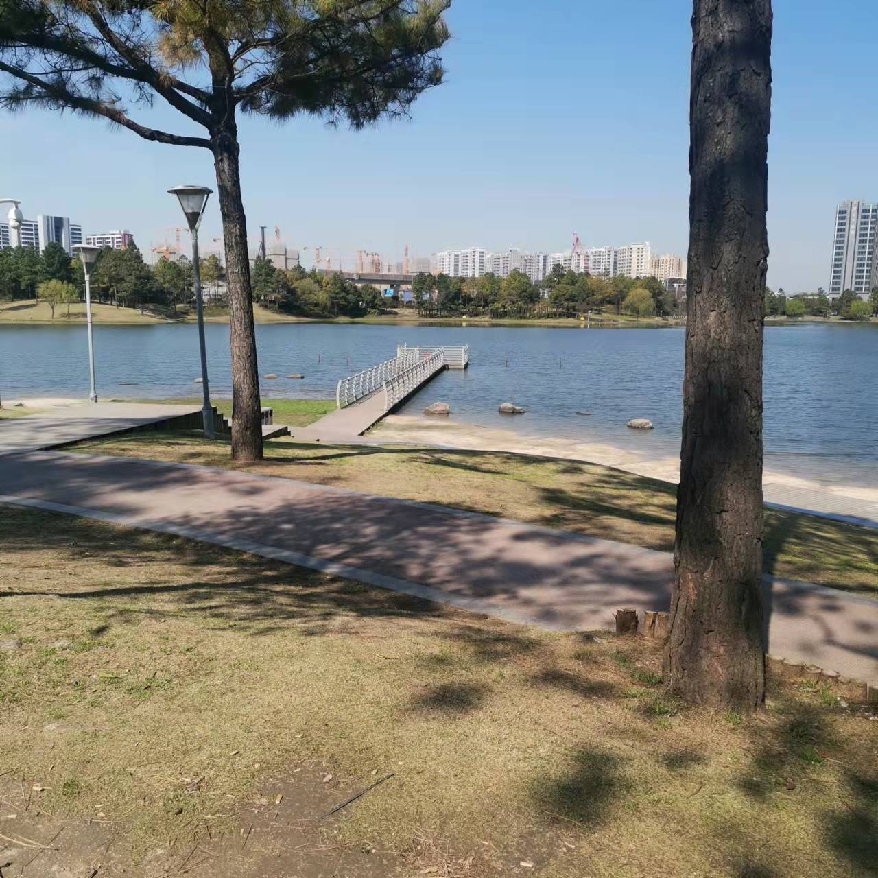 炳坤札记 