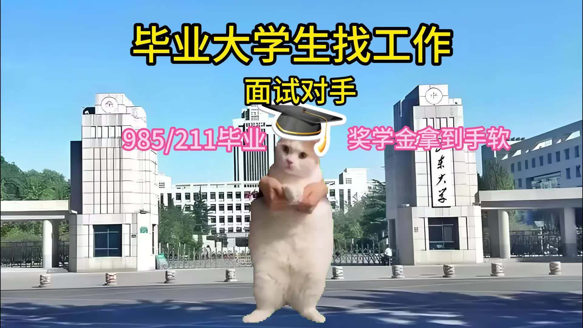 当代毕业大学生找工作现状