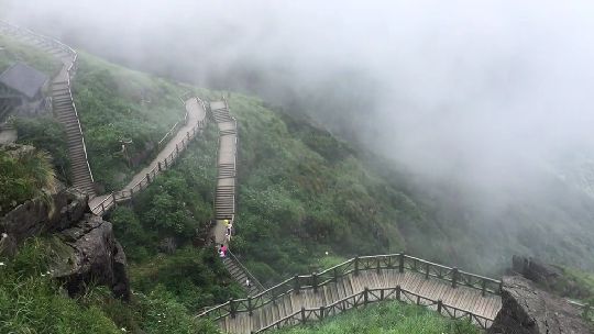 纛韛齆虩嫑鑰