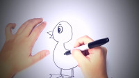儿童简笔画:如何一步一步地绘制小鸡 简笔画教学视频