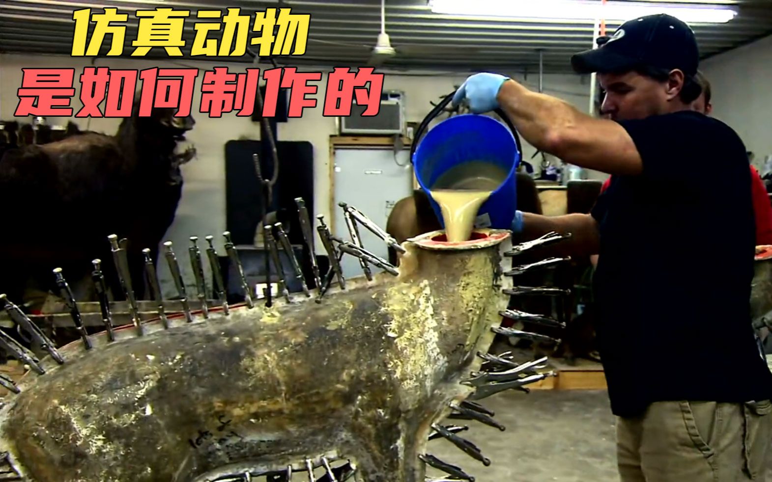 披着真兽皮的仿真动物是如何制作出来的