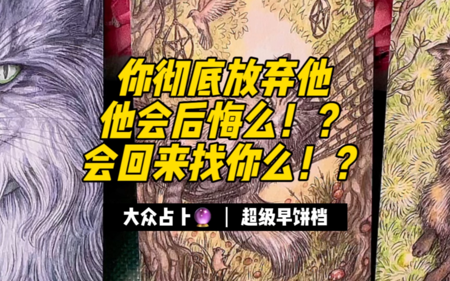 塔罗牌测试:你彻底放弃他,他会后悔么?会回来找你么?!