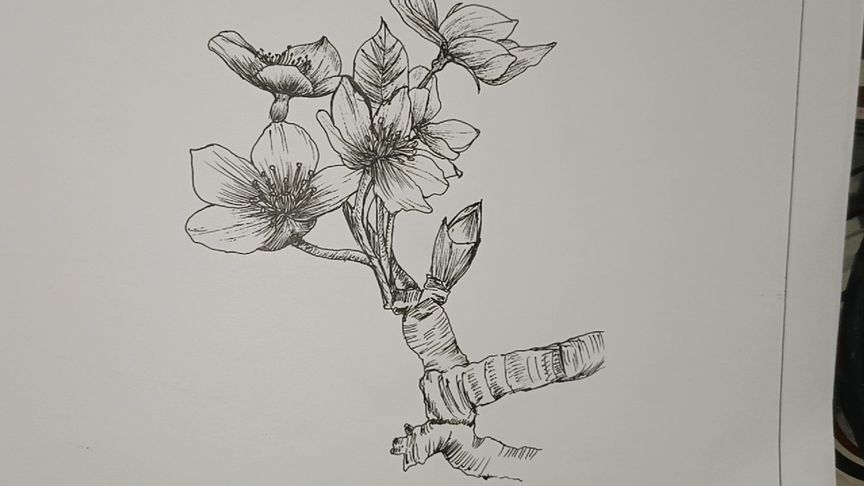 线条是非常具有表现力的,画家是可以通过线条表达出不同情感的。