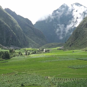 僧穷的世界 
