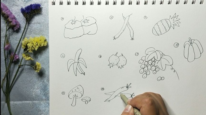 29种水果蔬菜的画法,适合儿童简笔画,线描画、手账