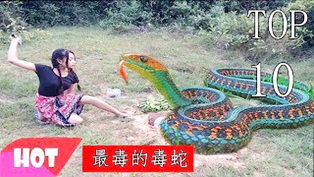 世界上十大最剧毒的蛇,比响尾蛇还毒,被咬后基本上无救