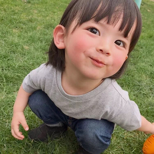 小叶子叮叮 