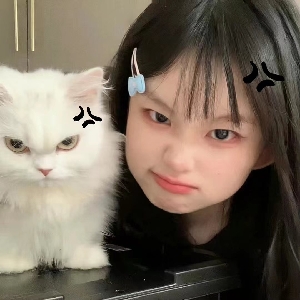 莫小雨没鱼 