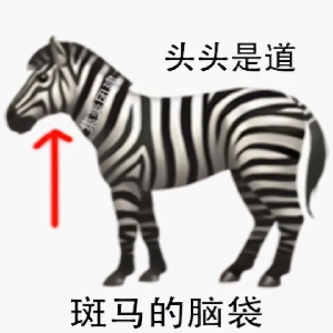 高中数学-木匠哥 