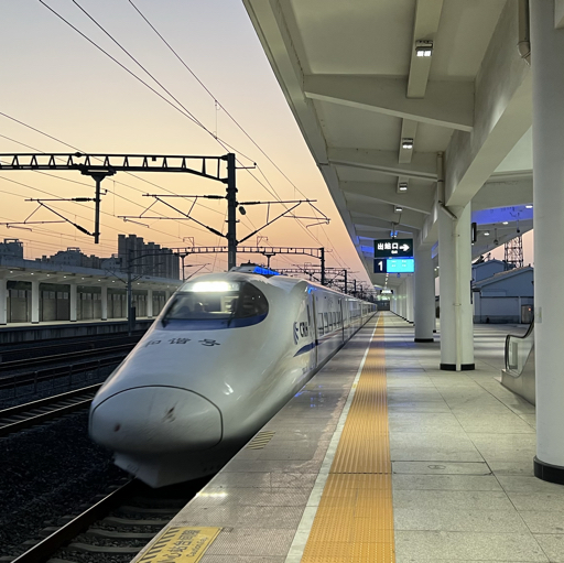 一般路过疯带鱼 