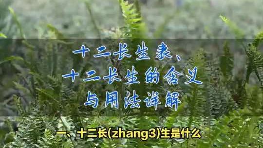 十二长生的含义与用法详解#易学智慧 #命理八字