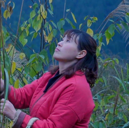 山野莉莉 