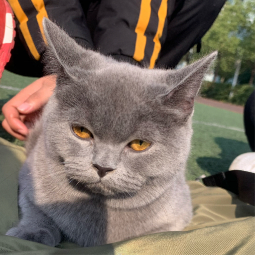 杰和晴的生活记录 