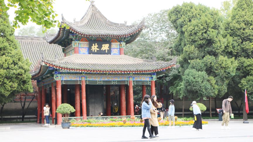 走进西安碑林博物馆•上